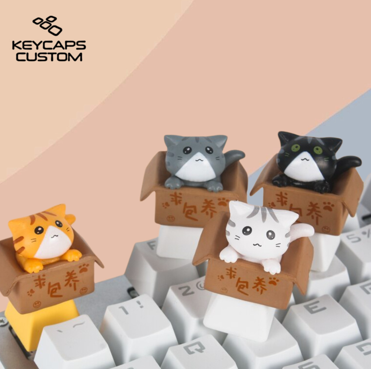 Artisan Cat In The Box Cute Cartoon Keycap