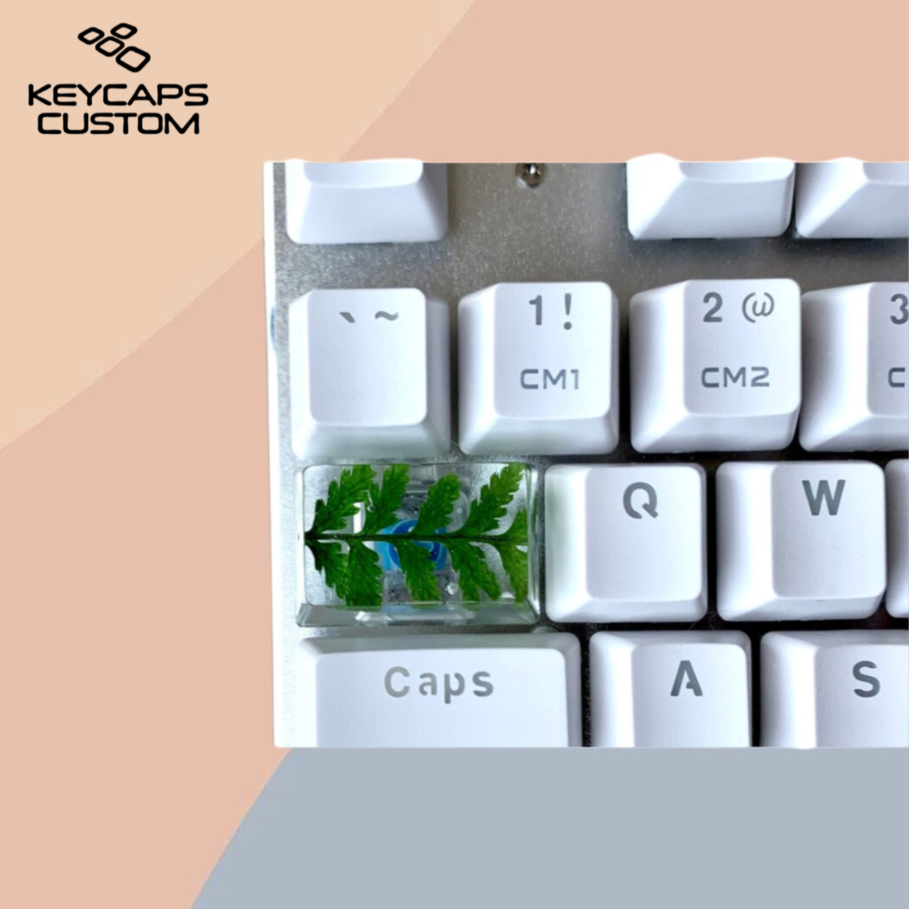 Handmade Resin Plant Tab key 1.5u with real Leaf of Fern for Mechanical ...