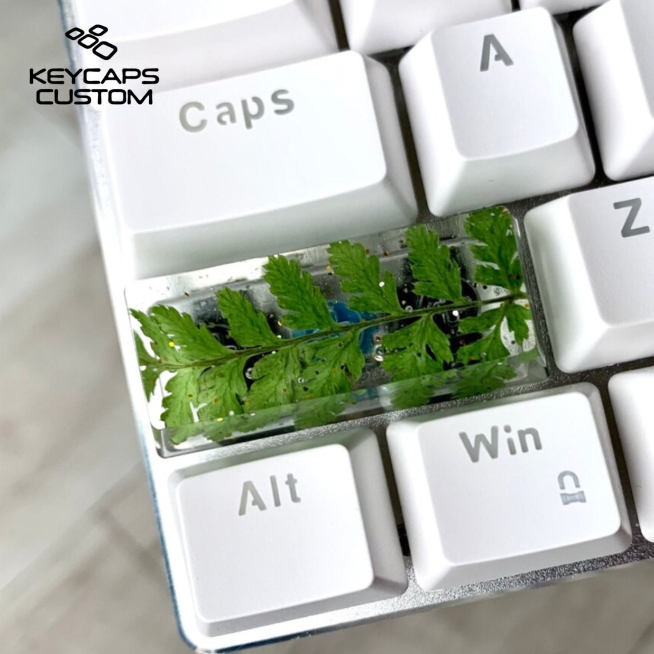 Handmade Resin Fern and Glitter Left Shift Key with Natural Plant for ...